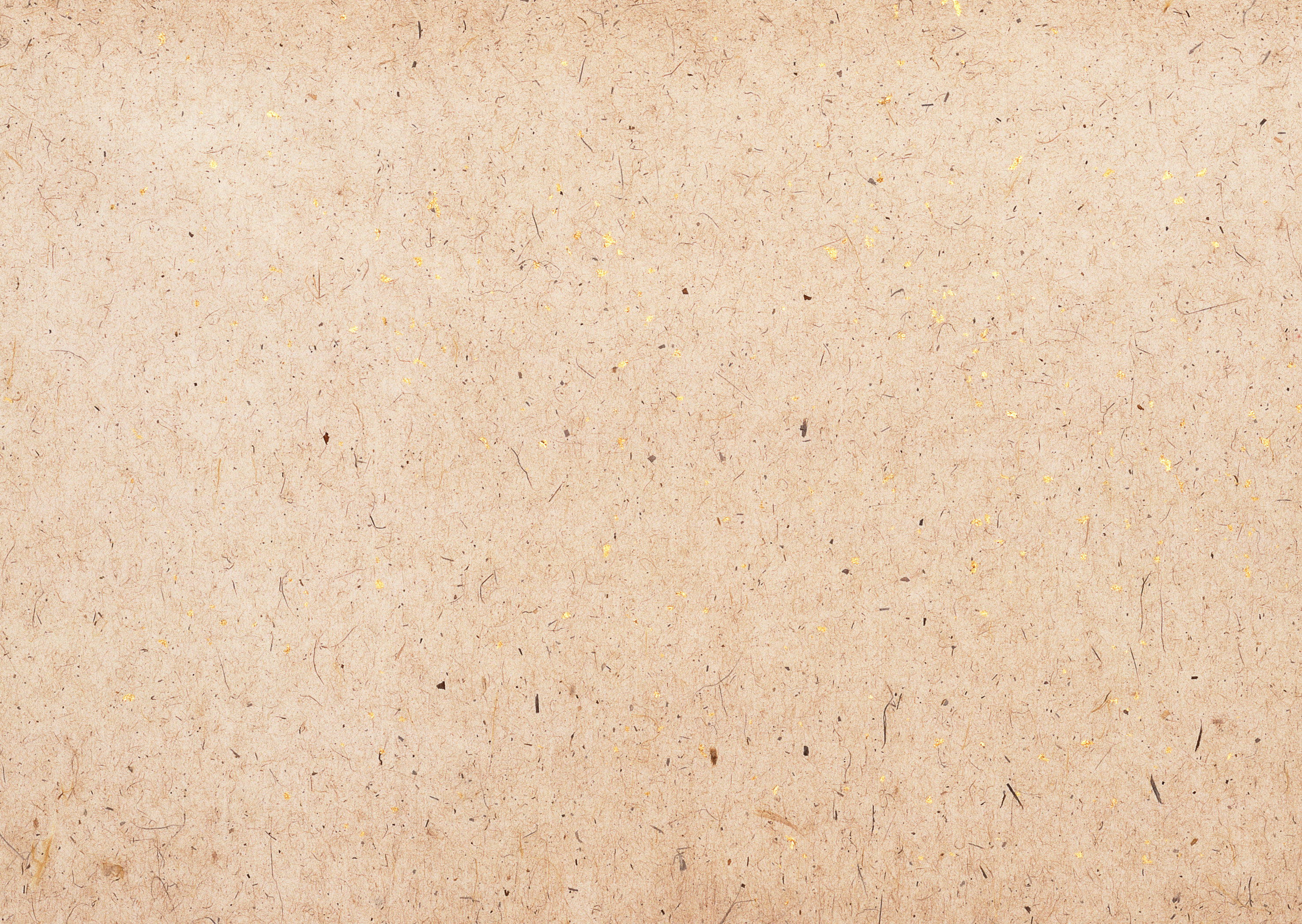 Texture Paper Paper Texture Old Battered Paper Download Photo Image